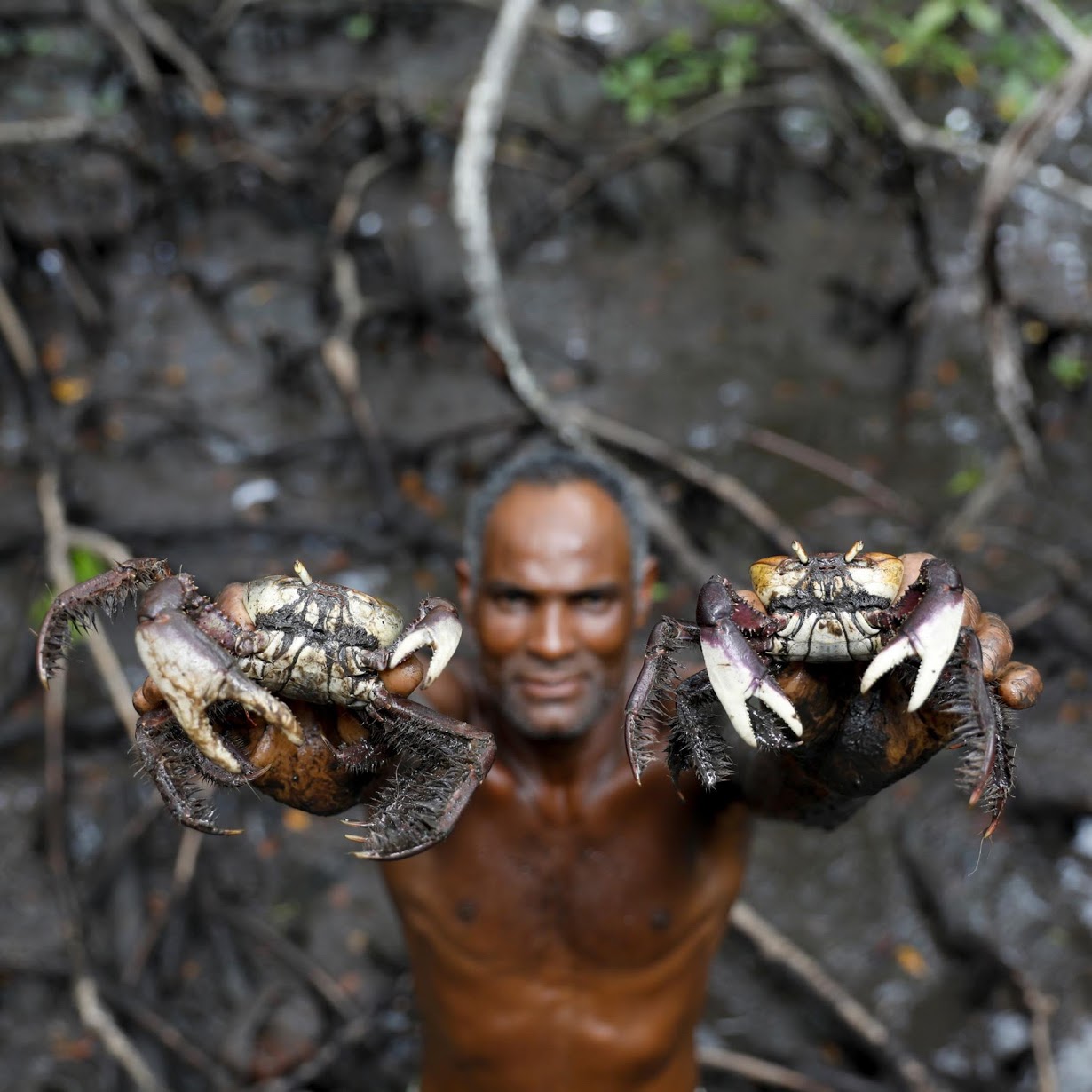 ForestPlanetMangrove importance: Big picture, human picture - ForestPlanet