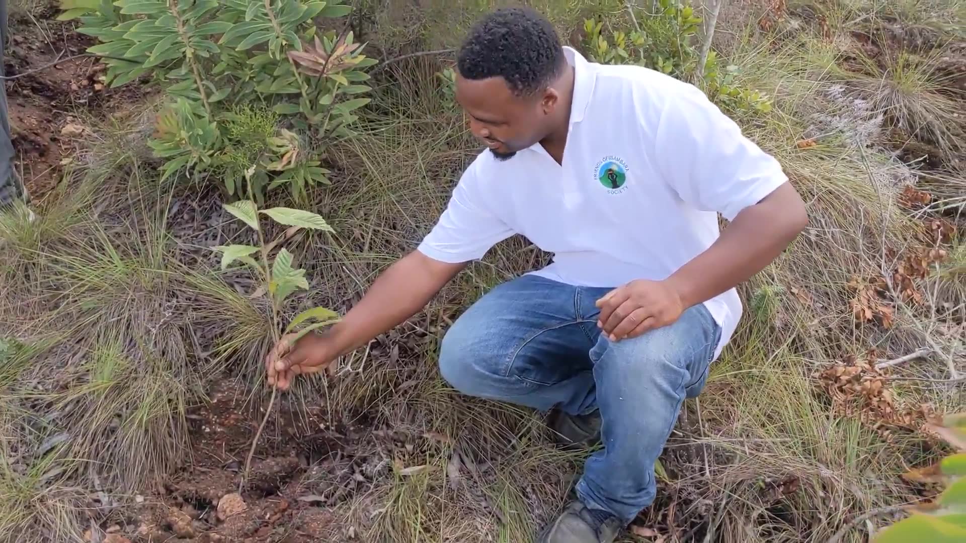 ForestPlanet » ForestPlanet Visits Irente Planting Site #3 in Tanzania ...