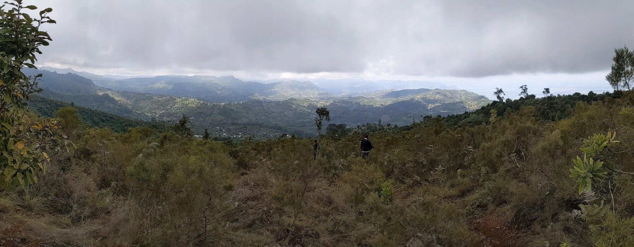 ForestPlanet » ForestPlanet Visits Irente Planting Site #3 in Tanzania ...