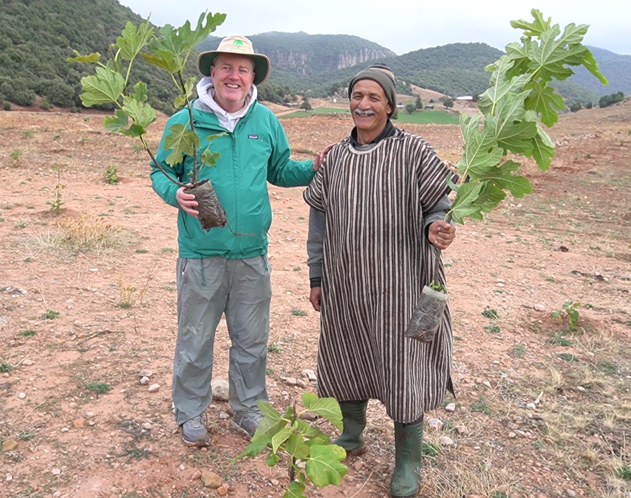 ForestPlanetNever Let a Crisis Go to Waste: Moroccan Success Story ...